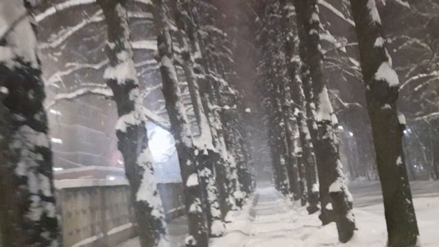 Ура Зима красота! Планы на игры!