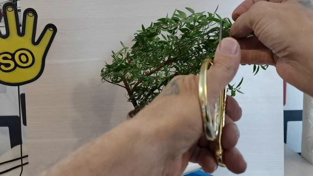 Весёлый человечек😊