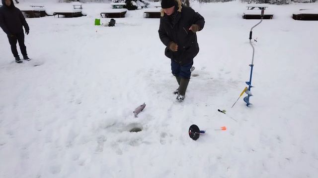 Светлые Горы Форель2 08.01.2026г.