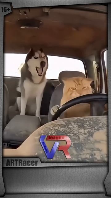 Так работают PROFI