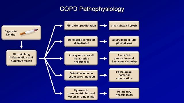 2_Asthma and COPD - Pathogenesis and Pathophysiology Eric Strong