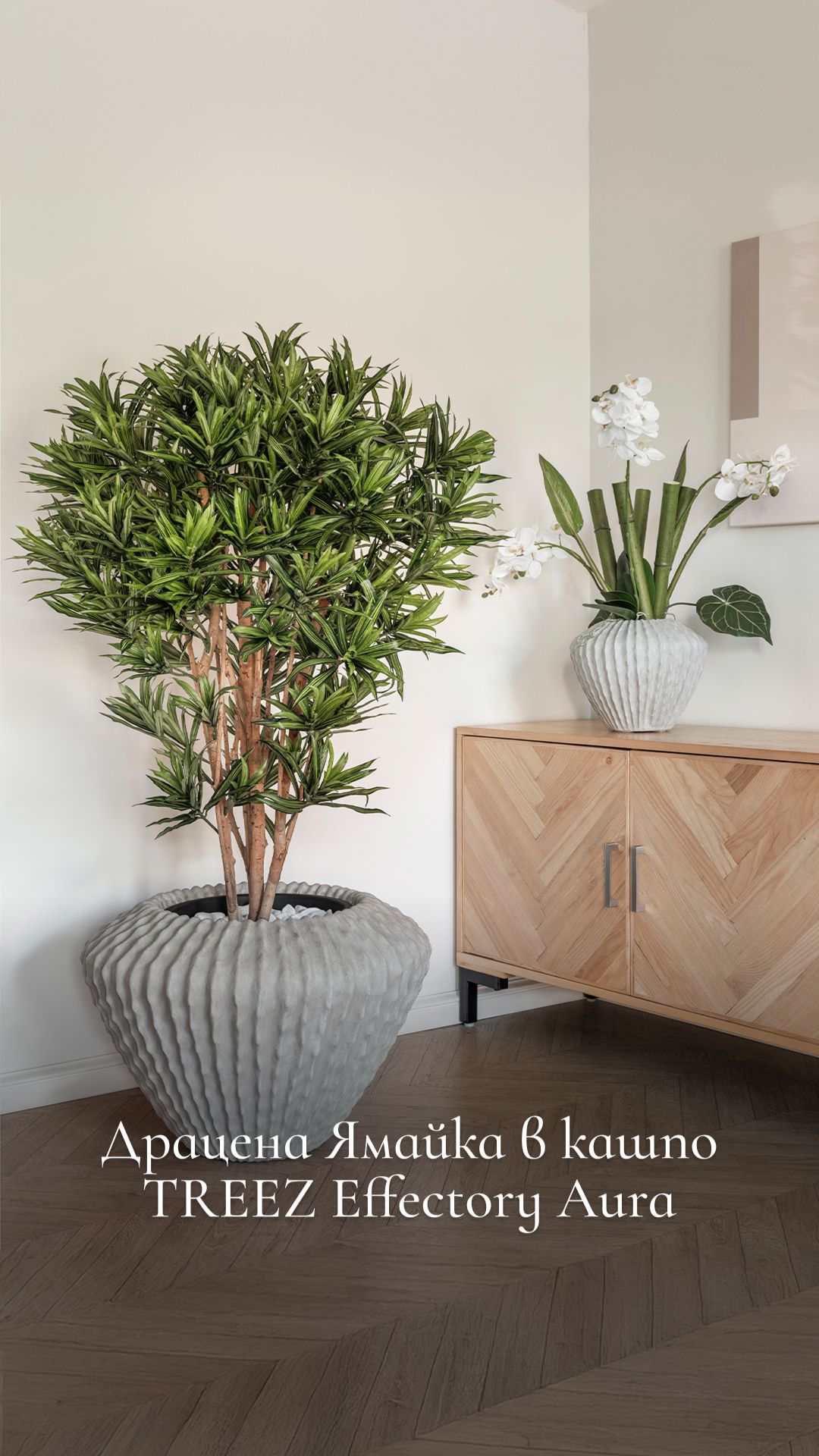 «Зелёная пауза» в интерьере