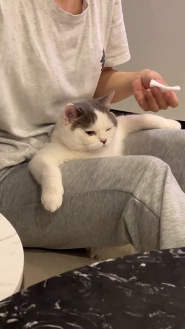 Боксер, который ждёт следующий раунд