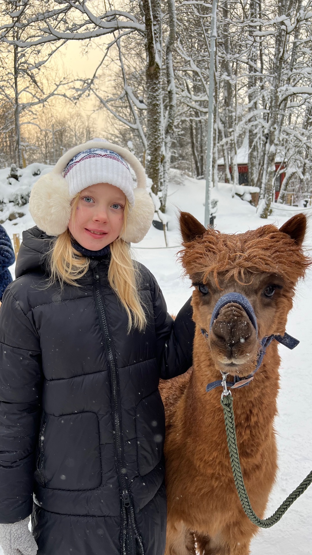 ВЫСТУПАЮ В ОЗОРНЫХ БЕЛКАХ!