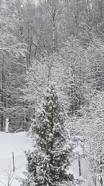 В снежном плену