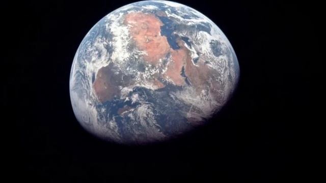 Георг Стеллер