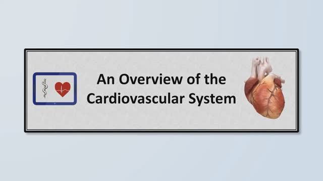 1_The Cardiovascular System_An Overview Eric Strong