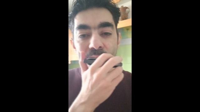 Попурри из довоенной гармошки