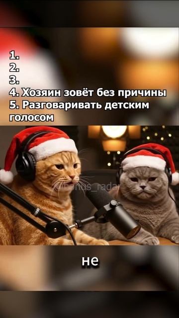 Топ-5 вещей, которые бесят котика 😂