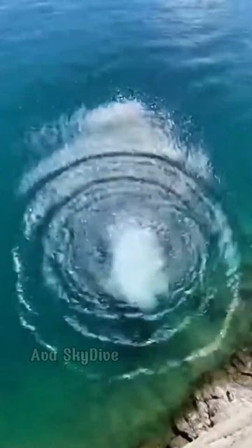 Замок и вода