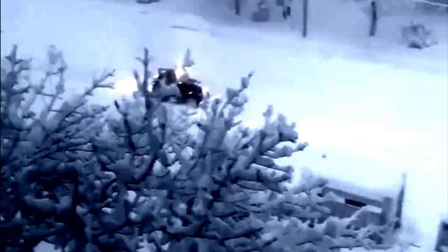 Майкоп тоже занесло снегом