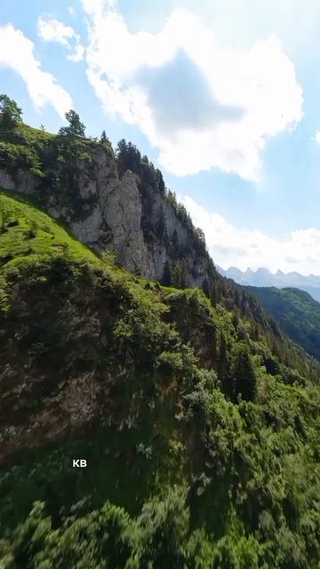 #видеооткрытка #видео #katyboro #shortvideo #shorts #реки #втоп #природа #музыка