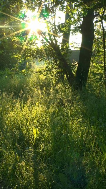 Живые картины русской природы 8