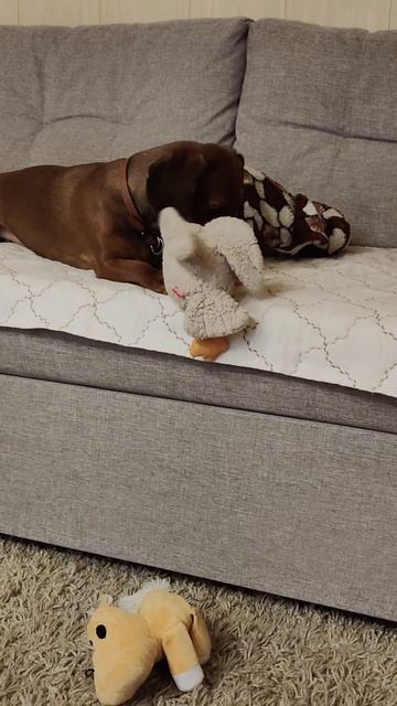 Устала от праздников