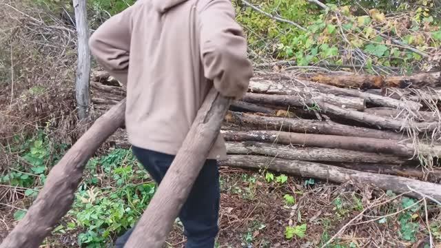 Поездка в деревню. Продолжаем бороться за порядок на участке. Последний урожай.