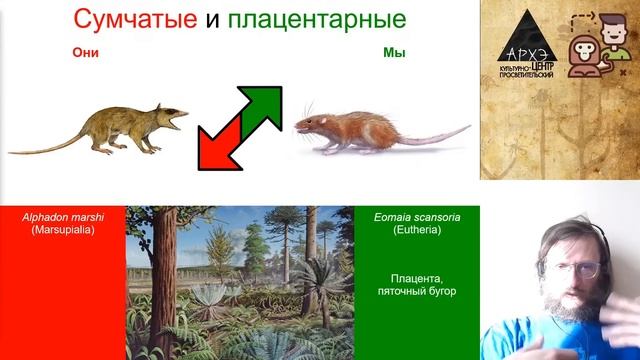 Станислав Дробышевский: Красавцы и чудовища (№3)