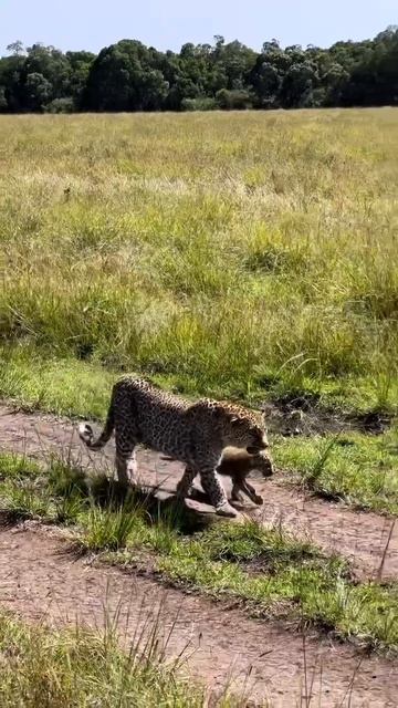 Семья на прогулке