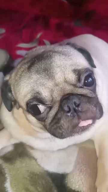 Может быть у меня насморк?