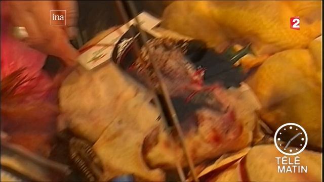 Culture et citoyenneté - unité 6