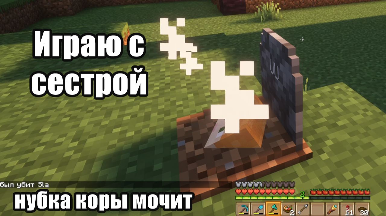 Игра в майнкрафт с сестрой