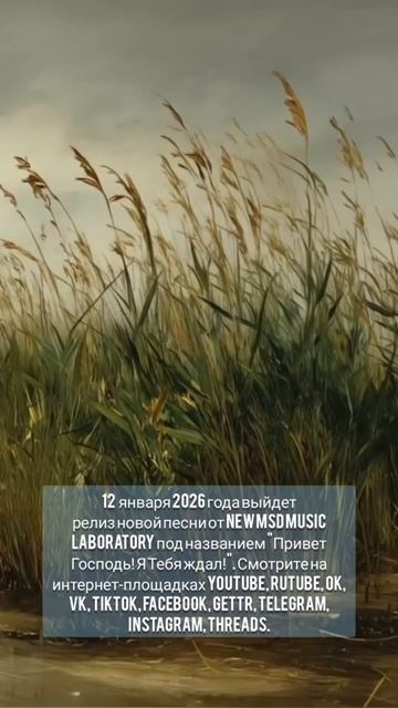 12 января 2026 года выйдет новый релиз песни NEW MSD Music Laboratory под названием "Привет Господь!