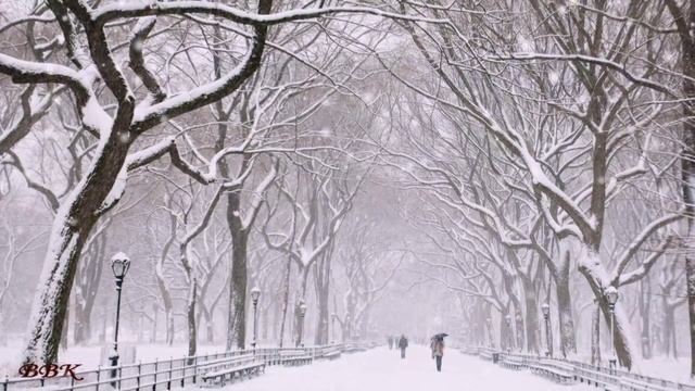 Сергей Сухачёв - Две снежинки (Авт.ролика Виктор)