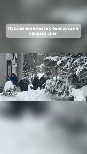 Лукашенко вместе с белорусами убирает снег