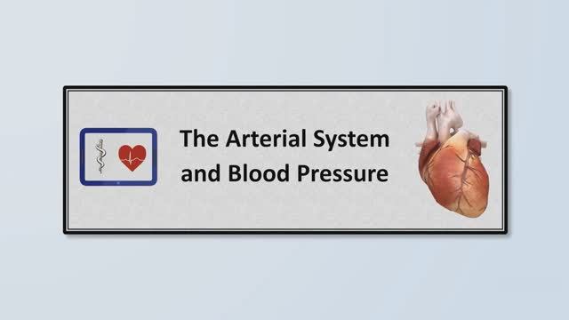 8_The Arterial System and Blood Pressure Eric Strong