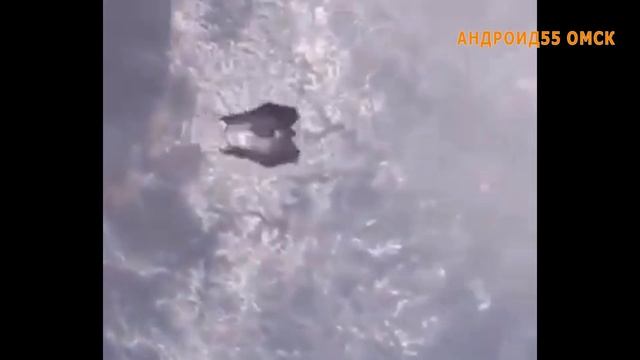 В сеть просочились кадры НАСА с инопланетным объектом "Black Knight" (Черный Рыцарь)