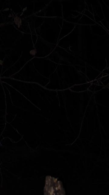 Спектрофобия - 8 Тизер 1