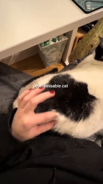 Кастомизация