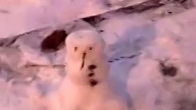 vk_MOV00001.3gp_23112020_1