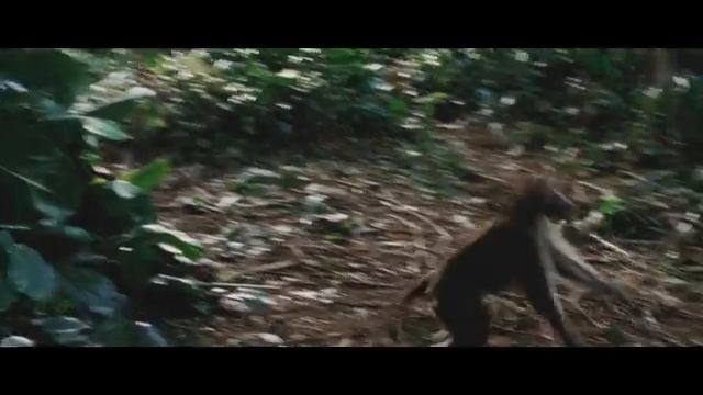 Смешные моменты из фильмов 7