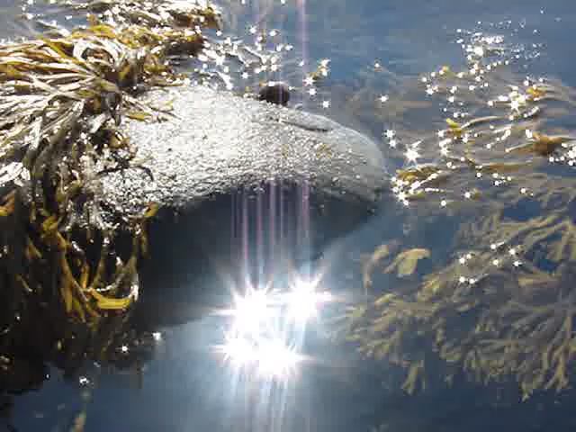 ©  Красоты Белого моря. Экспедиция на Кузова 2018 КНТ РГО СПб