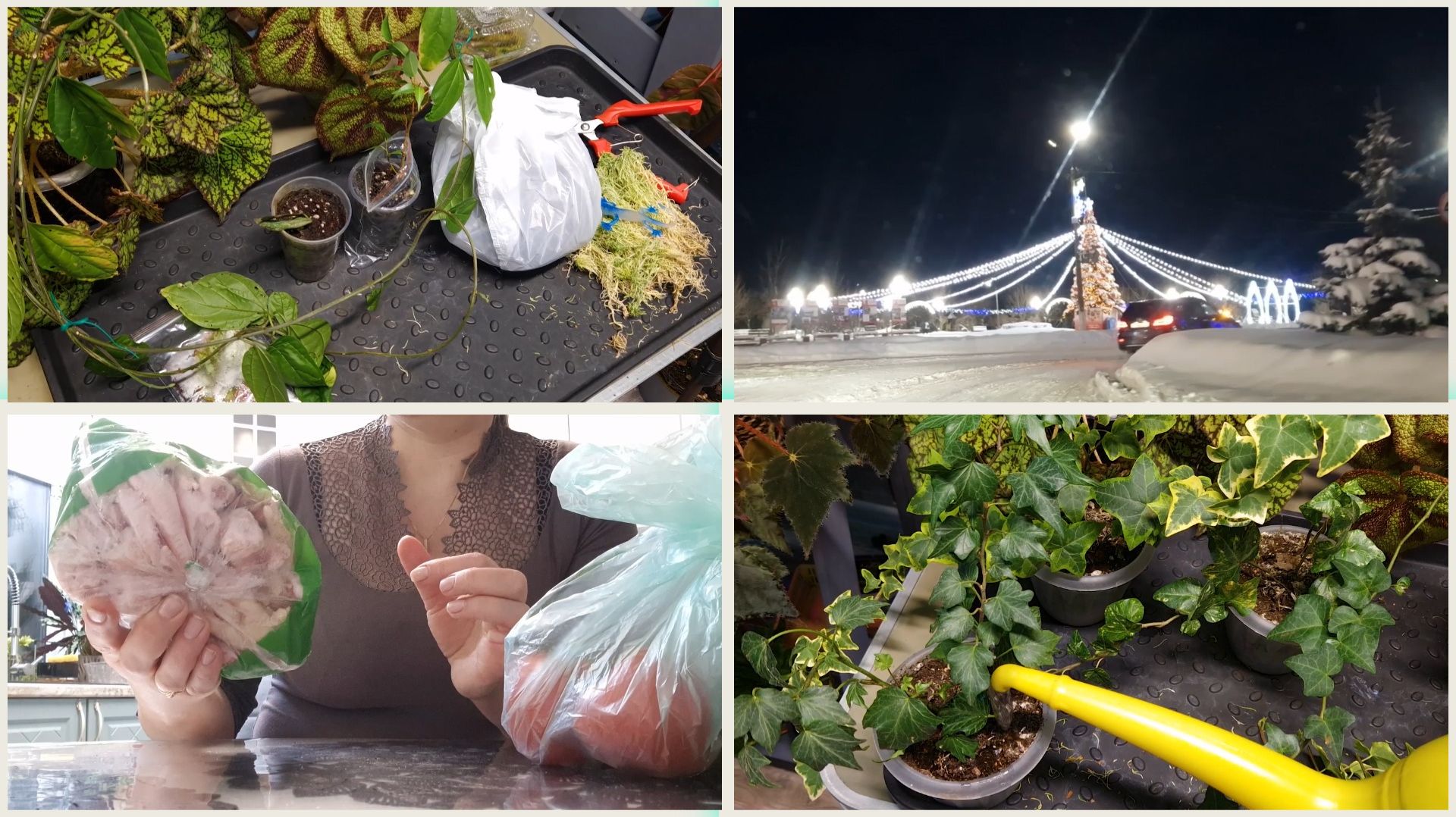 Сажаю подарки от девочек и режу плющи. Купили еды. Котлеты без лука. Вечерний Кольчугино