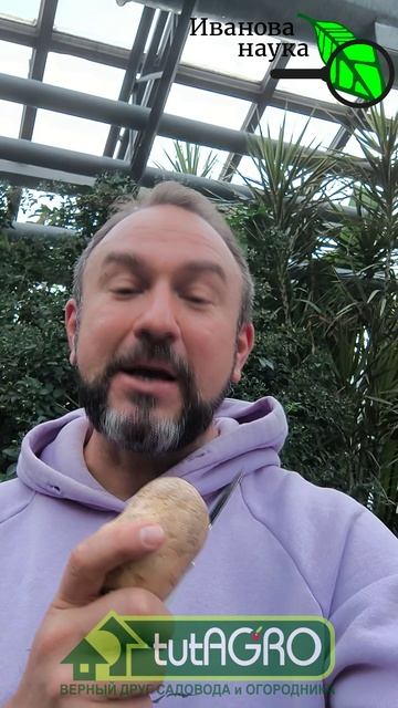 Картофельные Очистки: Золото, Которое Вы Выкидываете. Очистки, Которые Взорвут ВАШ Урожай.