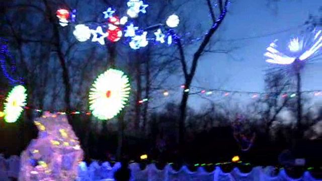 Парк Динамо Новогодний вечерний. Хабаровск.