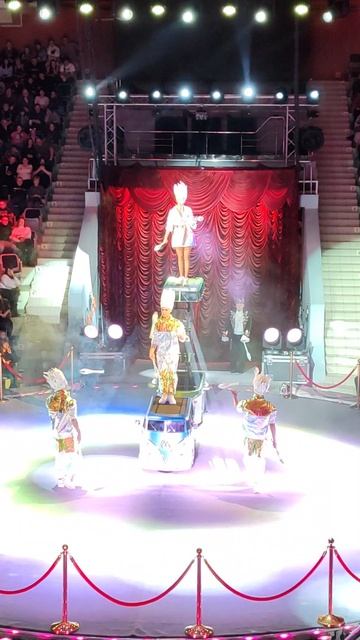 Шоу воды,огня и света