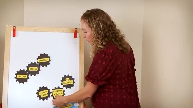 Why Trauma and Stress Trigger Weight Gain and Diabetes (Hint, it's Cortisol)