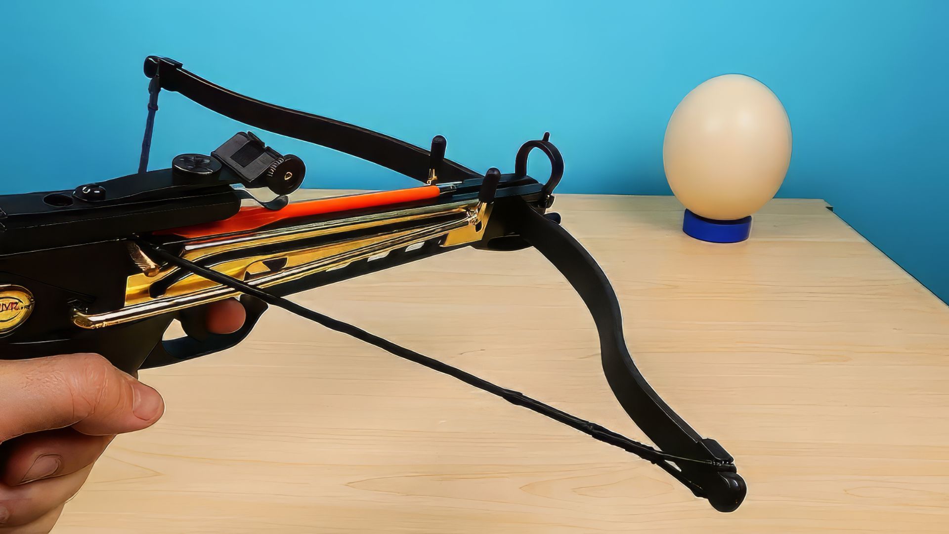 Арбалет Кобра против Яйца Страуса и Куриного яйца! alex boyko