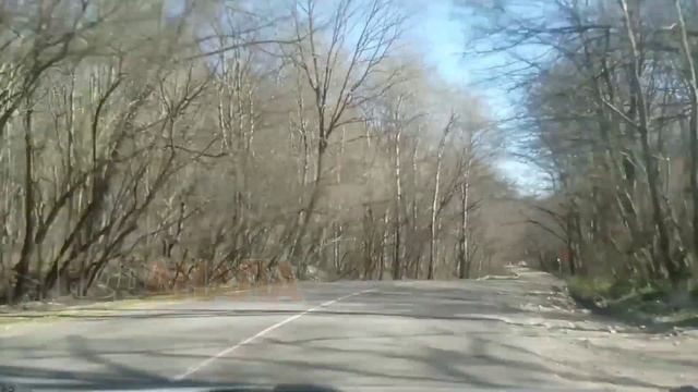 Если главный командир позовет в последний бой - дядя Вова, мы с тобой!