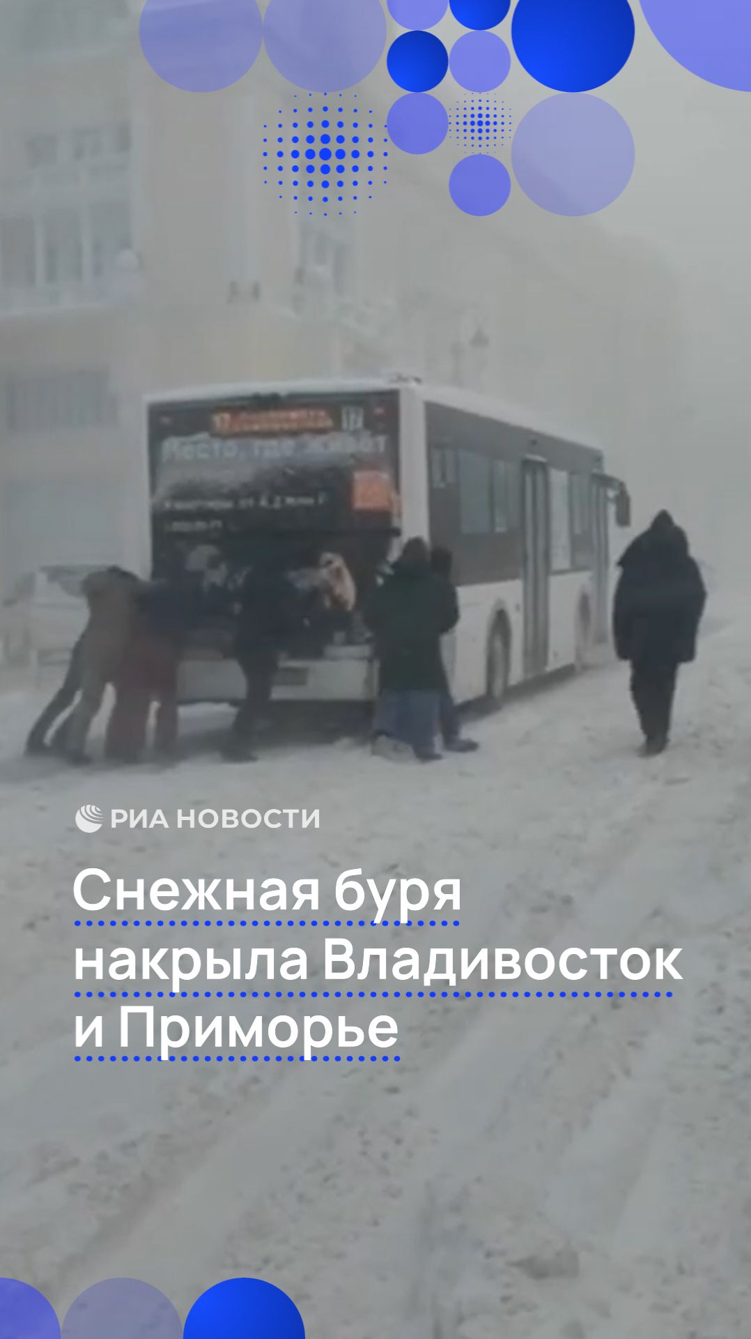 Снежная буря накрыла Владивосток и Приморье