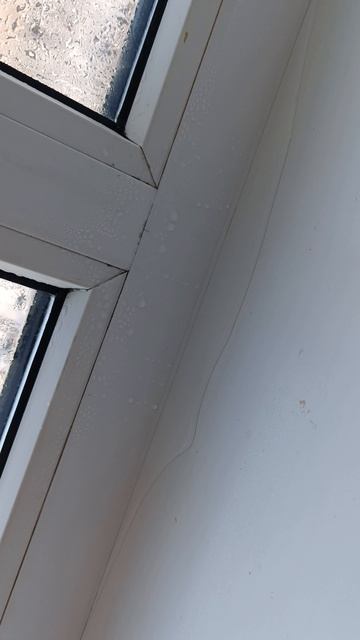 VID_20251231_094455 плесень на пластиковой раме