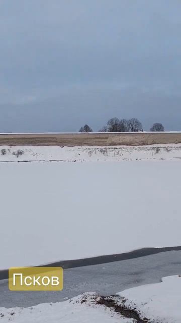 #travel #beautiful #псков #путешествия #путешествие #намашине #shorts #reels