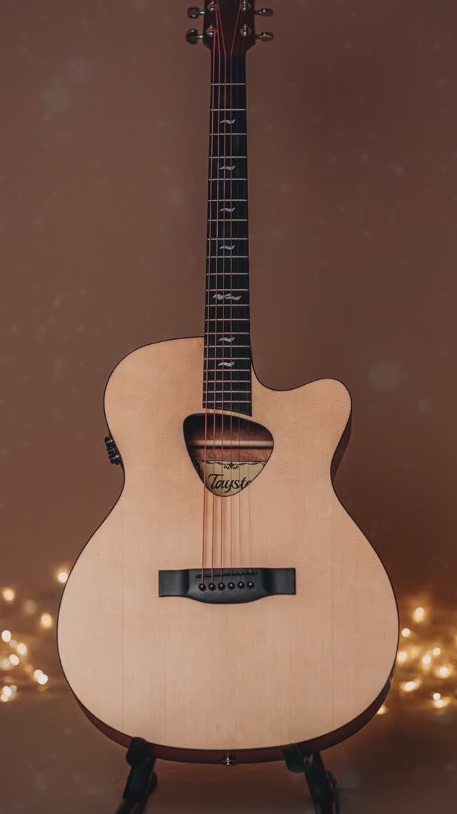 Tayste TS31 трансакустика