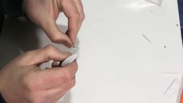 Одна из лучших приманок на хищника зимой