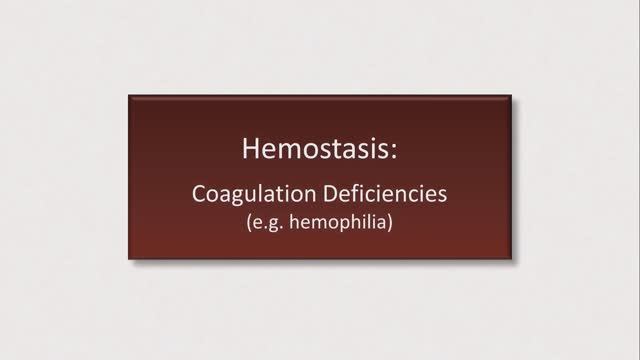 12_H-s Hemophilia and Other Coagulation Deficiencies Eric Strong