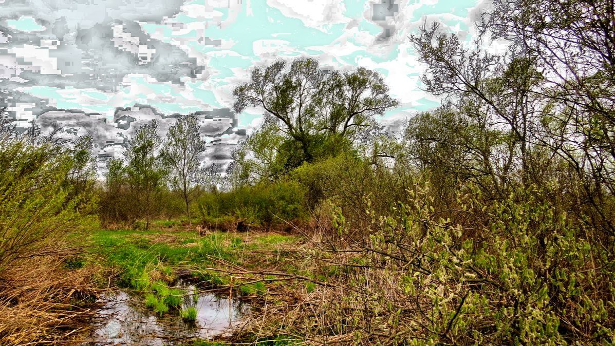 Майская природа