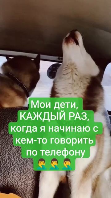 Дети, когда говоришь по телефону #дети #телефон #папатрехпринцесс #юмор #прикол #шутка #смех #рек