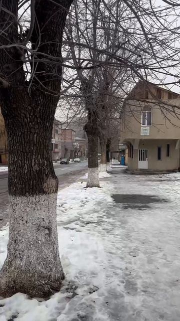 ❤️A💙R🧡M✝️E📖N✊I🗻A🇦🇲. #armenia #music #cavdtanem #steps #iarmen